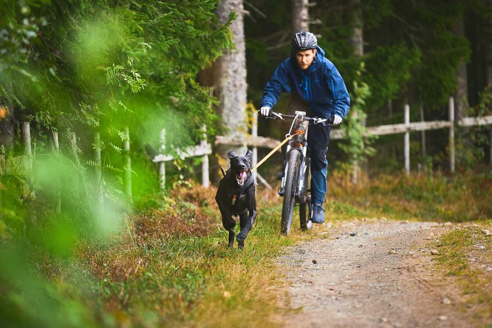 KLICK FIX Non-Stop para Bikejoring bicibleta con perro | Speedog
